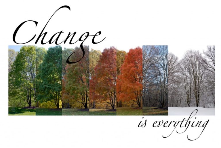 30 Ways To Increase Personal Adaptability Skills | HR C-Suite